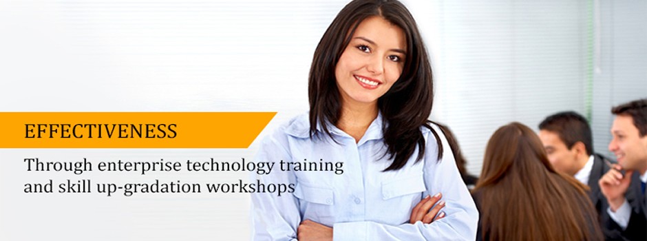 Careers In Seed Infotech Jobs In Seed Infotech Current Openings In Seed Infotech 