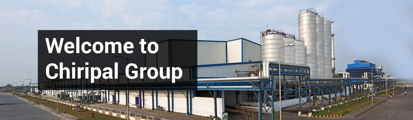 Chiripal Group Jobs - Career Opportunities in Chiripal Group - Naukri.com