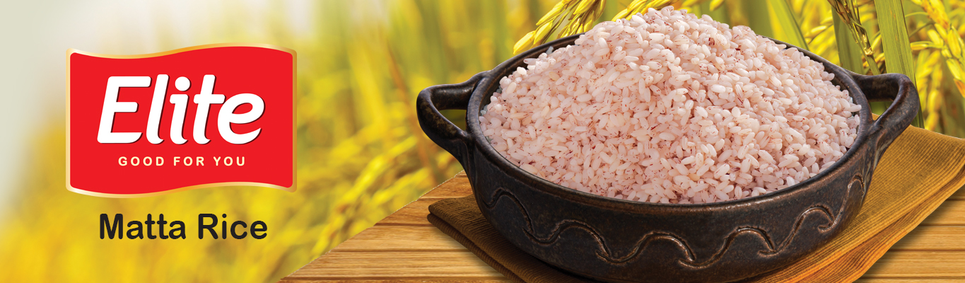 Elite Jobs - Career Opportunities in Elite - Naukri.com