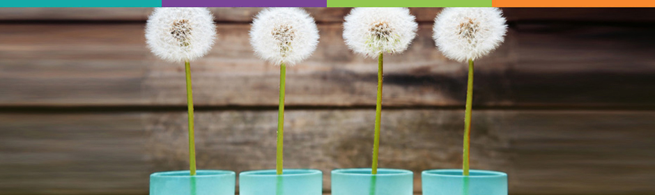 Sectors | Halma India