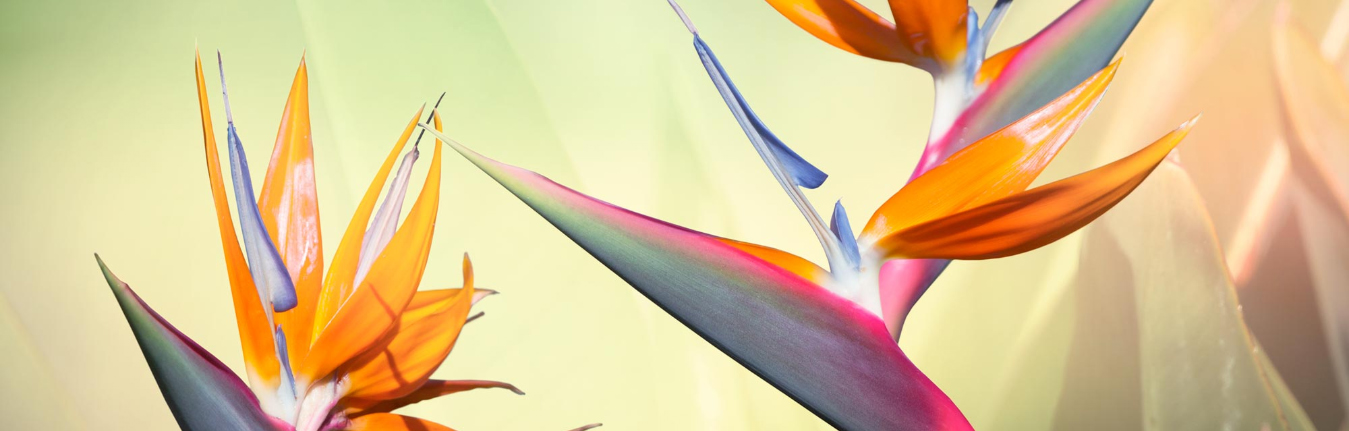 LogixHealth Jobs - Career Opportunities in LogixHealth - Naukri.com