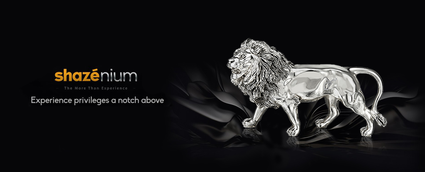 Shaze Jobs - Career Opportunities in Shaze - Naukri.com