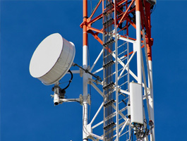 SoftPath Consulting Jobs – Job Openings in SoftPath Consulting