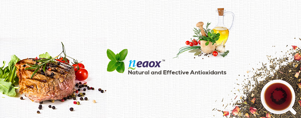 Job Description – Synthite