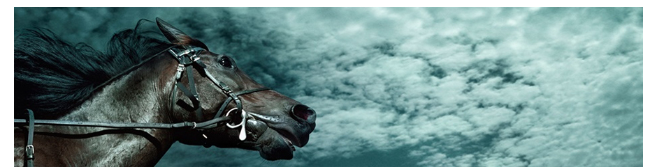 Unison International – Jobs in Unison International - Career in Unison ...