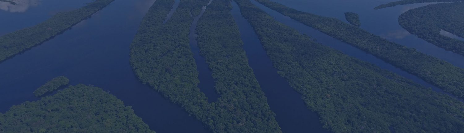 About Visible Alpha | Visible Alpha