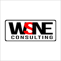 WSNE Consulting Jobs - Career Opportunities in WSNE Consulting - Naukri.com